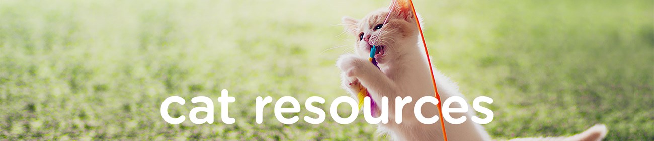 IAMS | Cat Resources